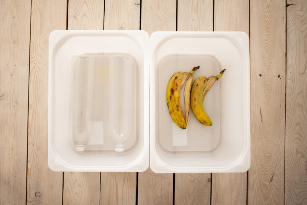 Todo lo que debes saber sobre los envases biodegradables para alimentos ...