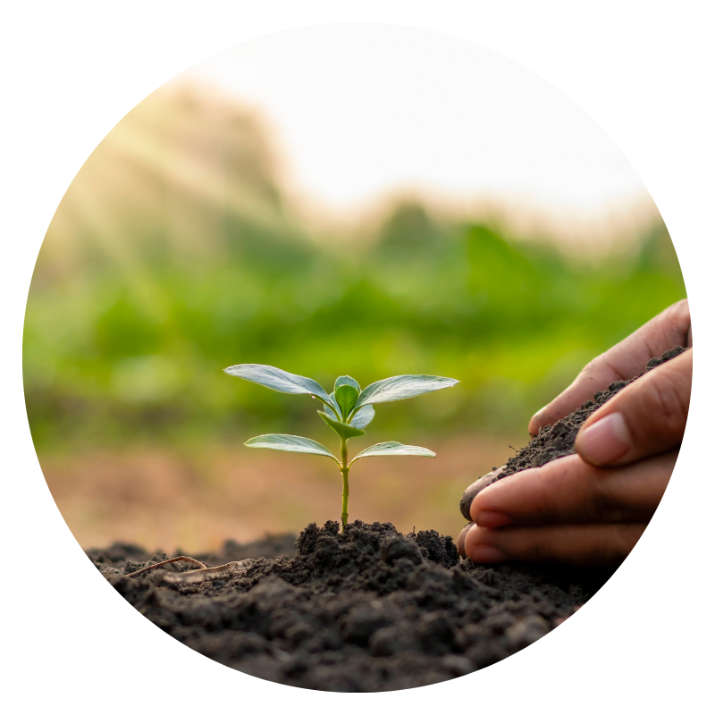 Bioplastics for 3D printing - Prime Biopolymers